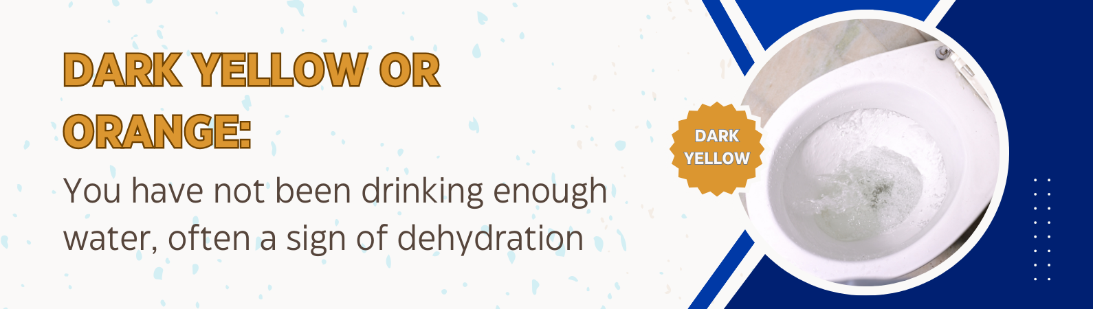 Dark yellow and orange: you have not been drinking enough water, often ...