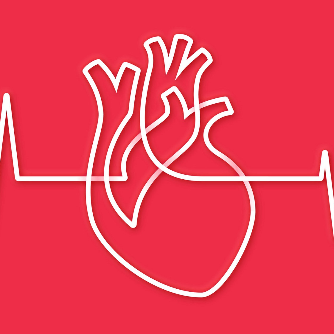 What Heart Rate Is Too Low What Heart Rate Is Too High What Heart Rate Is Too Low What Heart Rate Is Too High